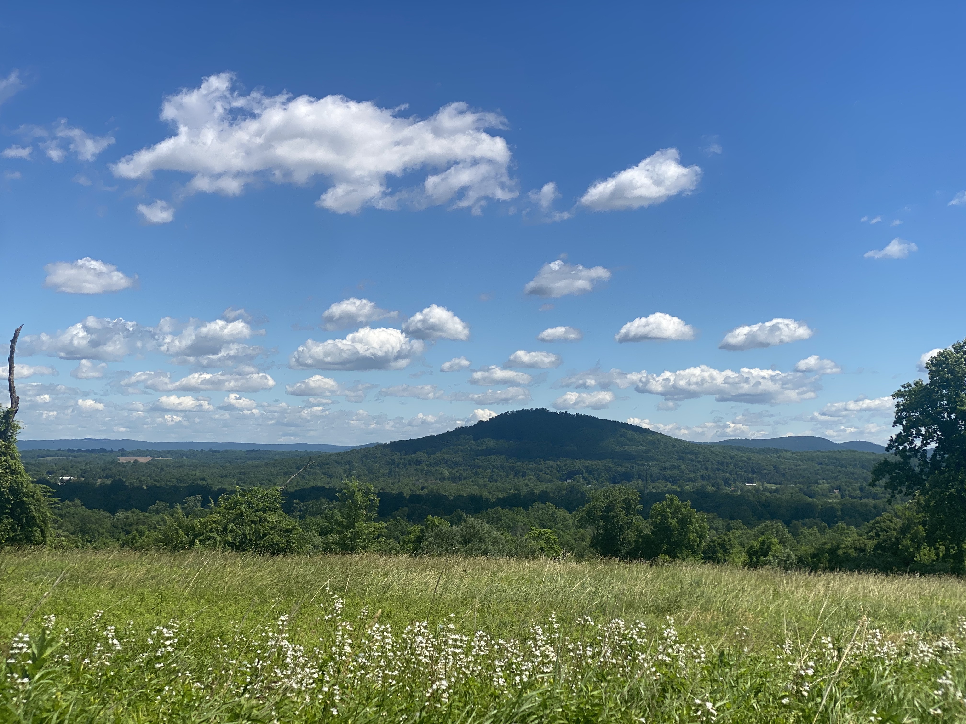 What do you see? – Writing from the Heart with Brian