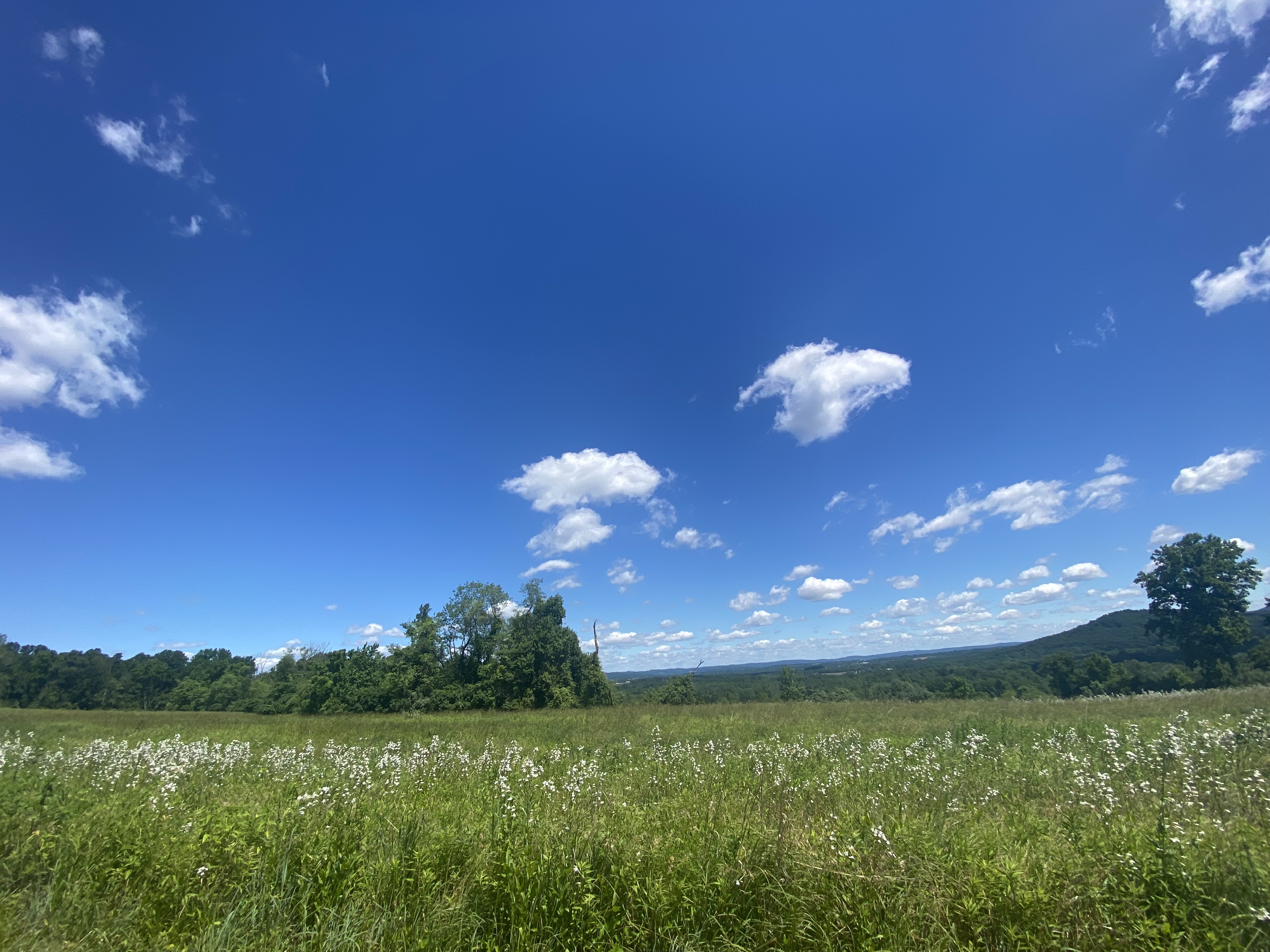 What do you see? – Writing from the Heart with Brian